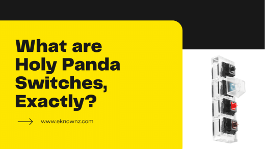 What Are Holy Panda Switches, Exactly?