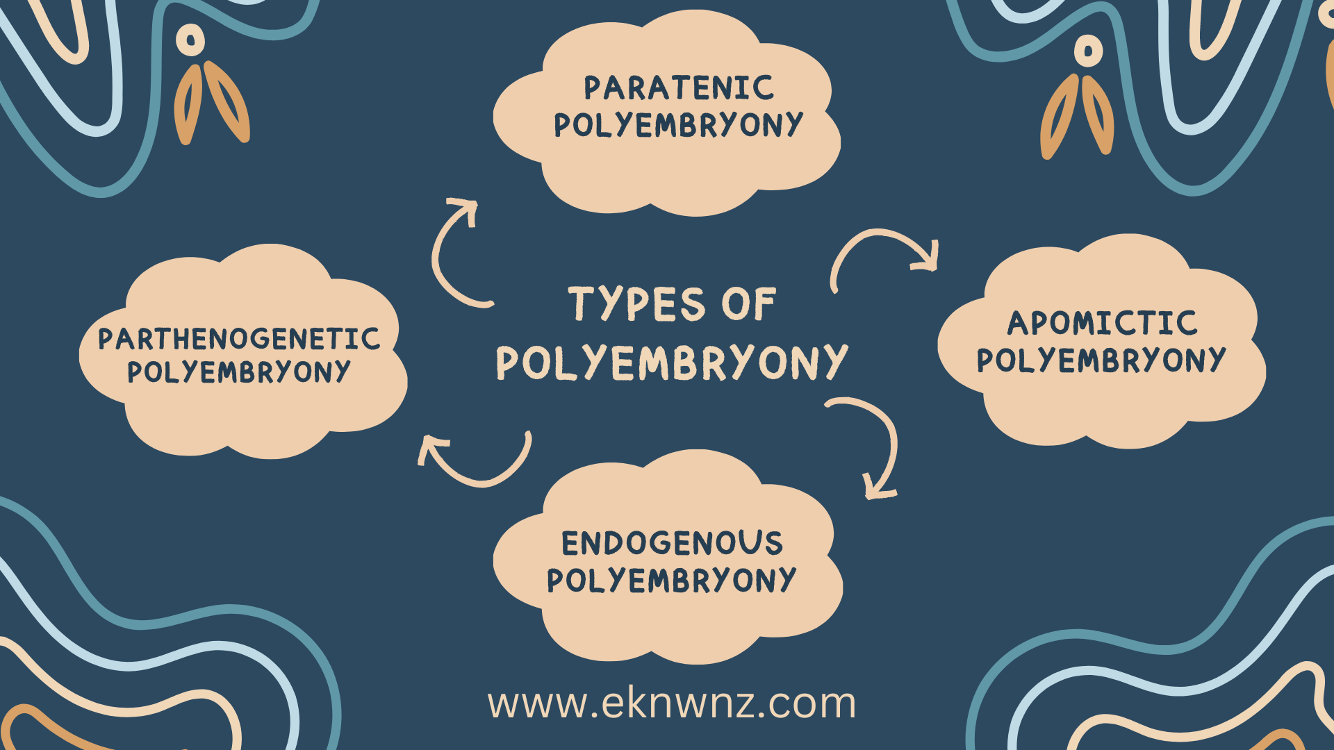 How Polyembryony Can Be Commercially Exploited
